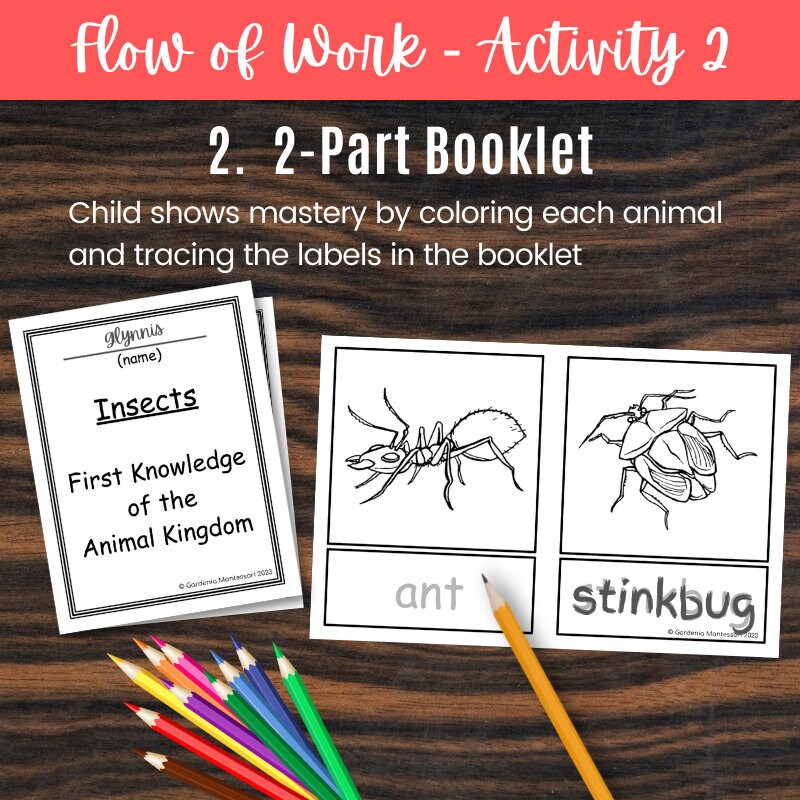 Montessori Insects 3 Part Cards Bug Printables Booklet - Montessori ...