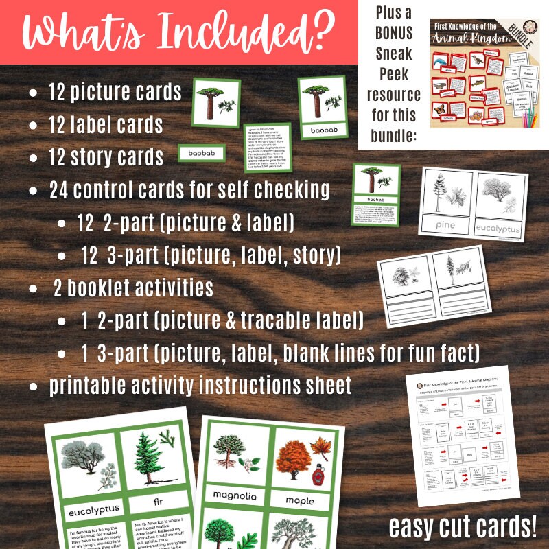 Montessori Trees Unit Science Cards - Evergreen Trees Deciduous Trees ...