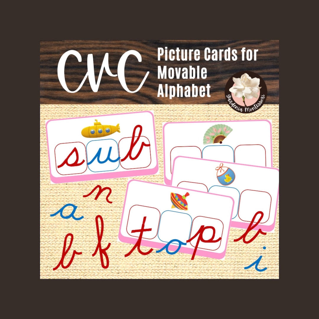 Montessori Cursive CVC Words Pink Series Cards: Elementary Moveable ...