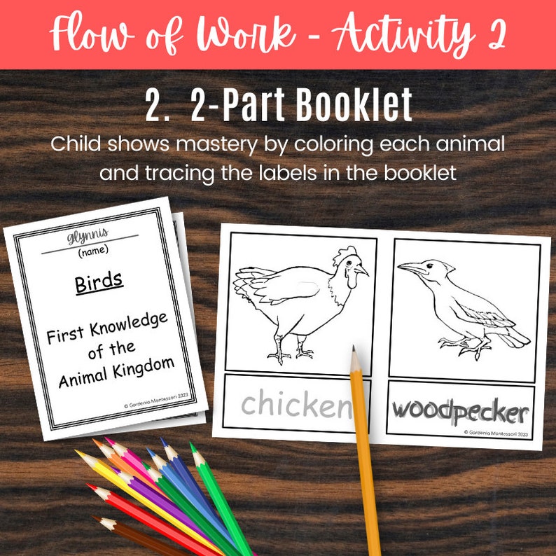 Plant and Animal Kingdom Science Cards: Montessori Elementary Biology ...