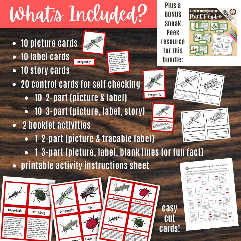 Montessori Insects 3 Part Cards Bug Printables Booklet - Montessori ...