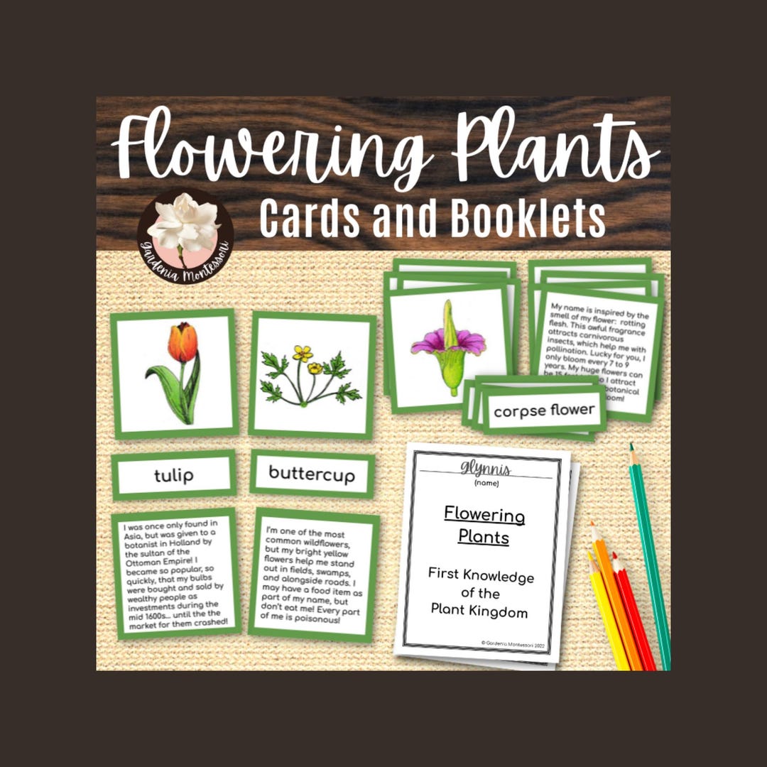 Montessori Flowering Plants Science Cards: Elementary Educational ...