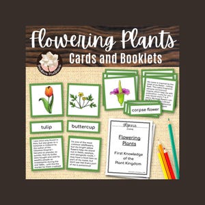 Montessori Flowering Plants Science Cards: Elementary Educational ...