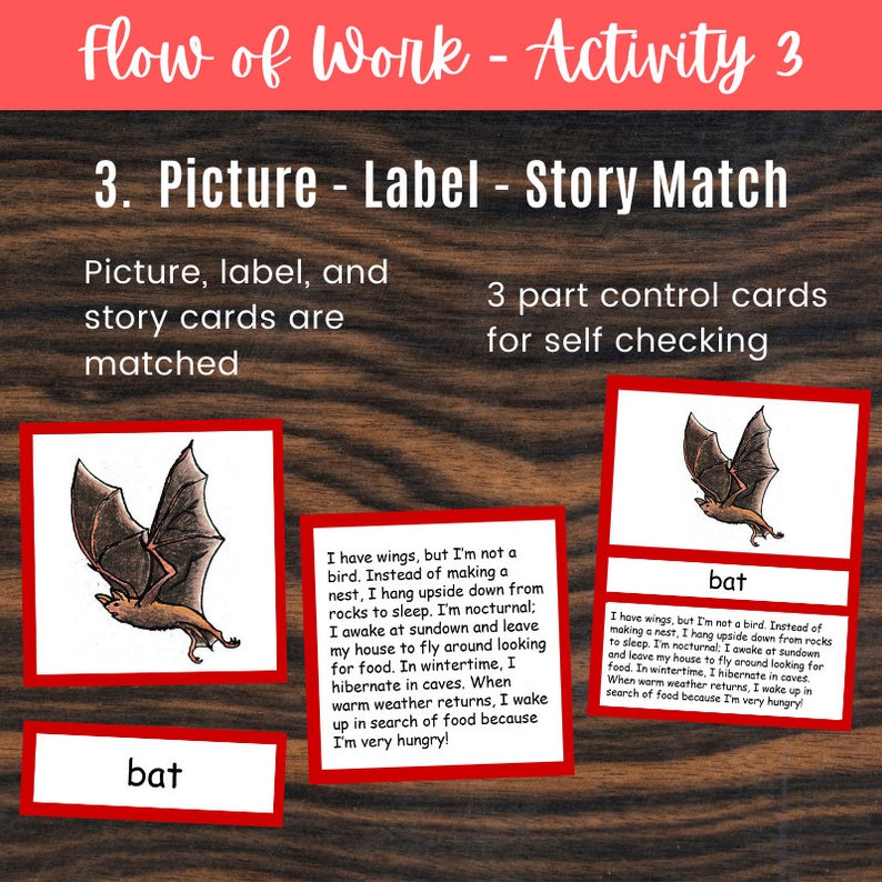 Montessori Mammal Printables - Animal Kingdom Montessori Materials 3 ...