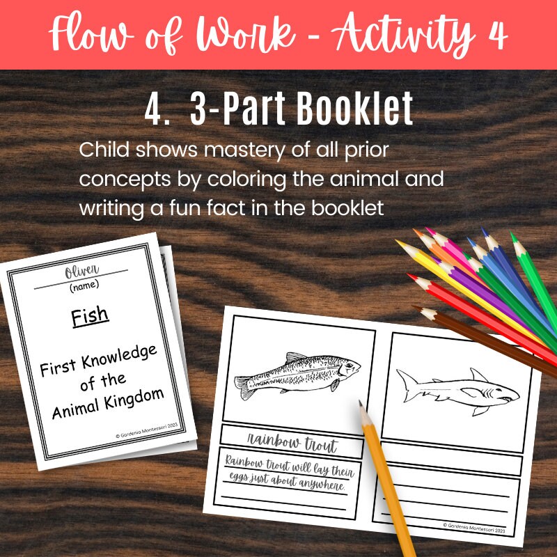 Montessori Fish Activities - Montessori Elementary Fish 3 Part Cards ...