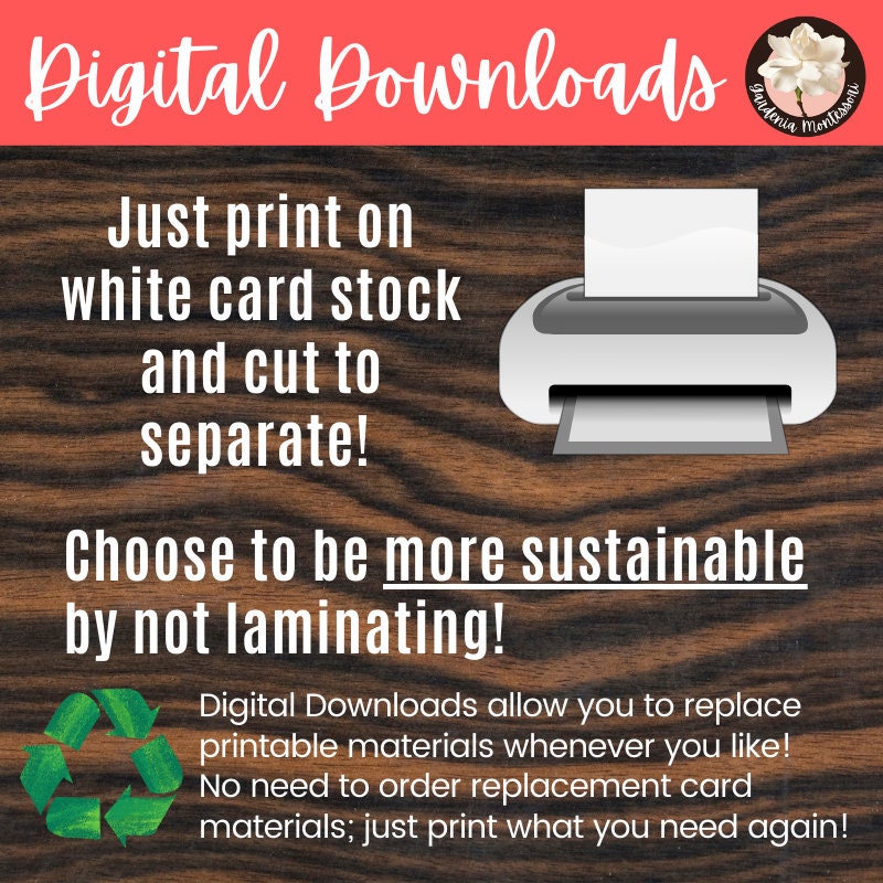 Montessori Trees Unit Science Cards - Evergreen Trees Deciduous Trees ...