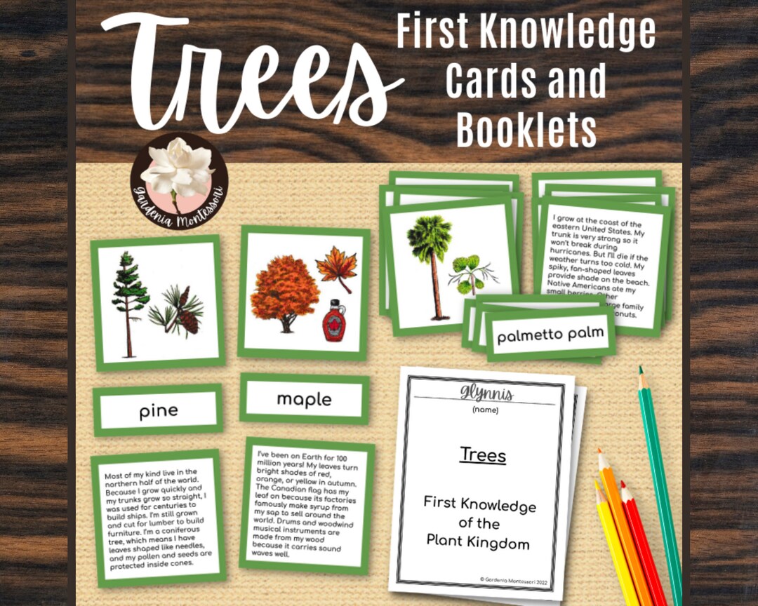 Montessori Trees Unit Science Cards - Evergreen Trees Deciduous Trees ...