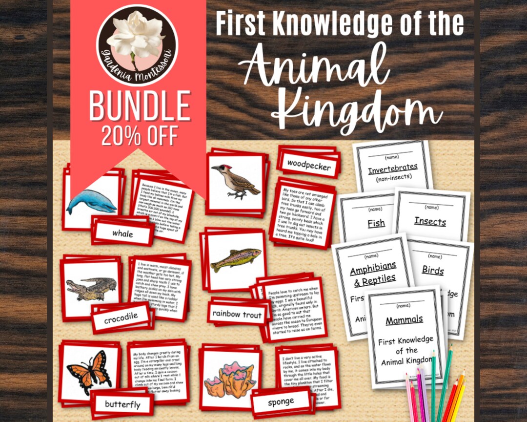 Montessori Animal Kingdom Science Cards Montessori Material Montessori ...
