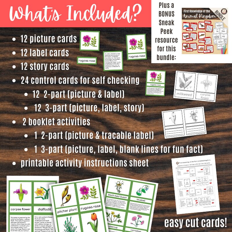 Flowering Plants Montessori Materials - Montessori Science Cards Plant ...