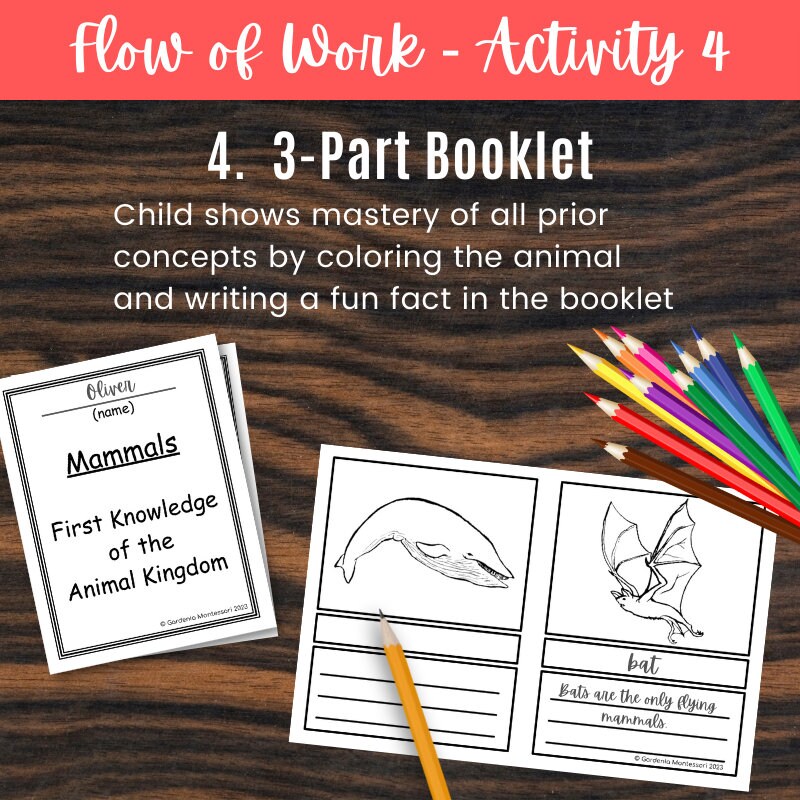 Montessori Mammal Printables - Animal Kingdom Montessori Materials 3 ...