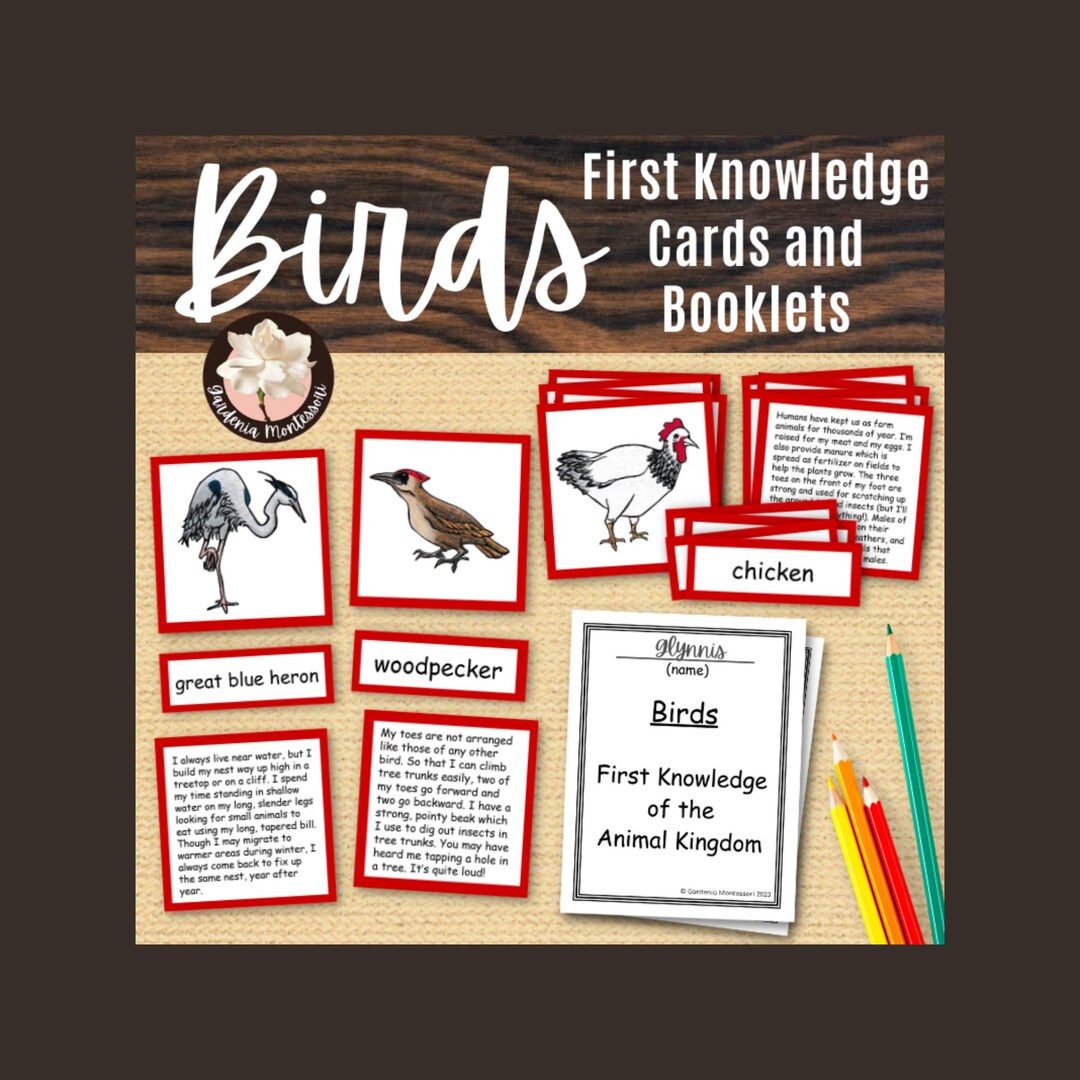 Montessori Birds 3-part Cards: Educational Booklet for Elementary ...