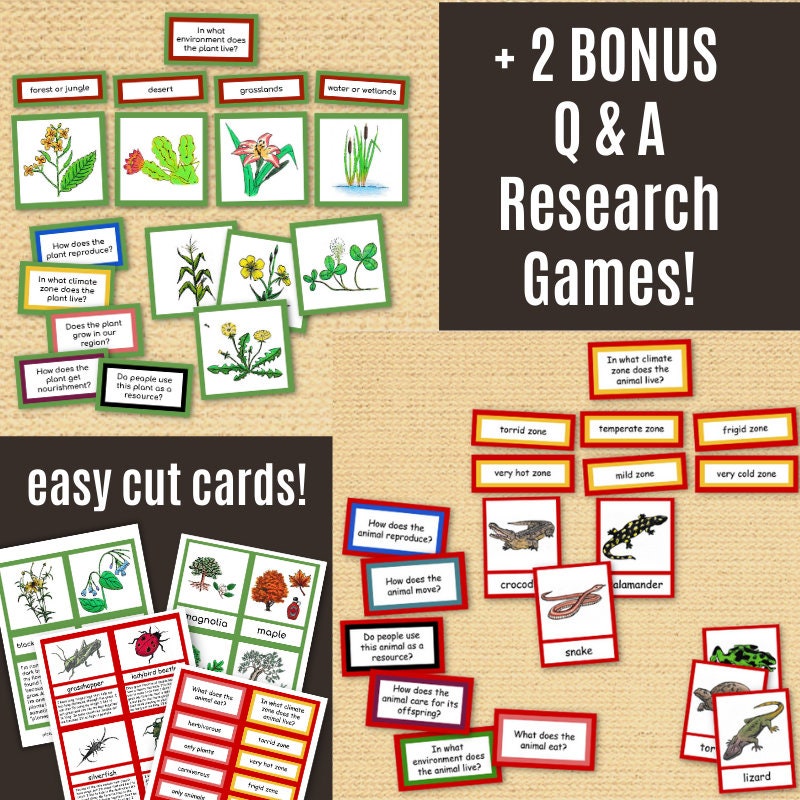 Plant and Animal Kingdom Science Cards: Montessori Elementary Biology ...