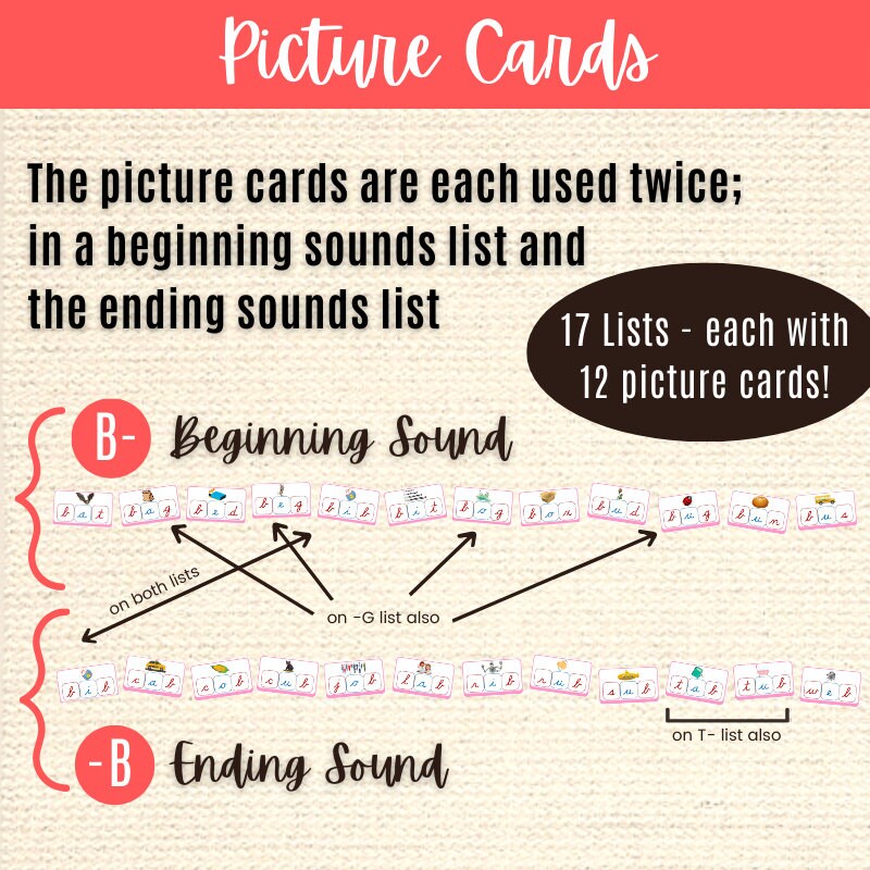 Montessori Cursive CVC Words Pink Series Cards: Elementary Moveable ...