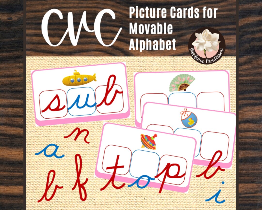 Montessori Cursive CVC Words Pink Series Cards: Elementary Moveable ...
