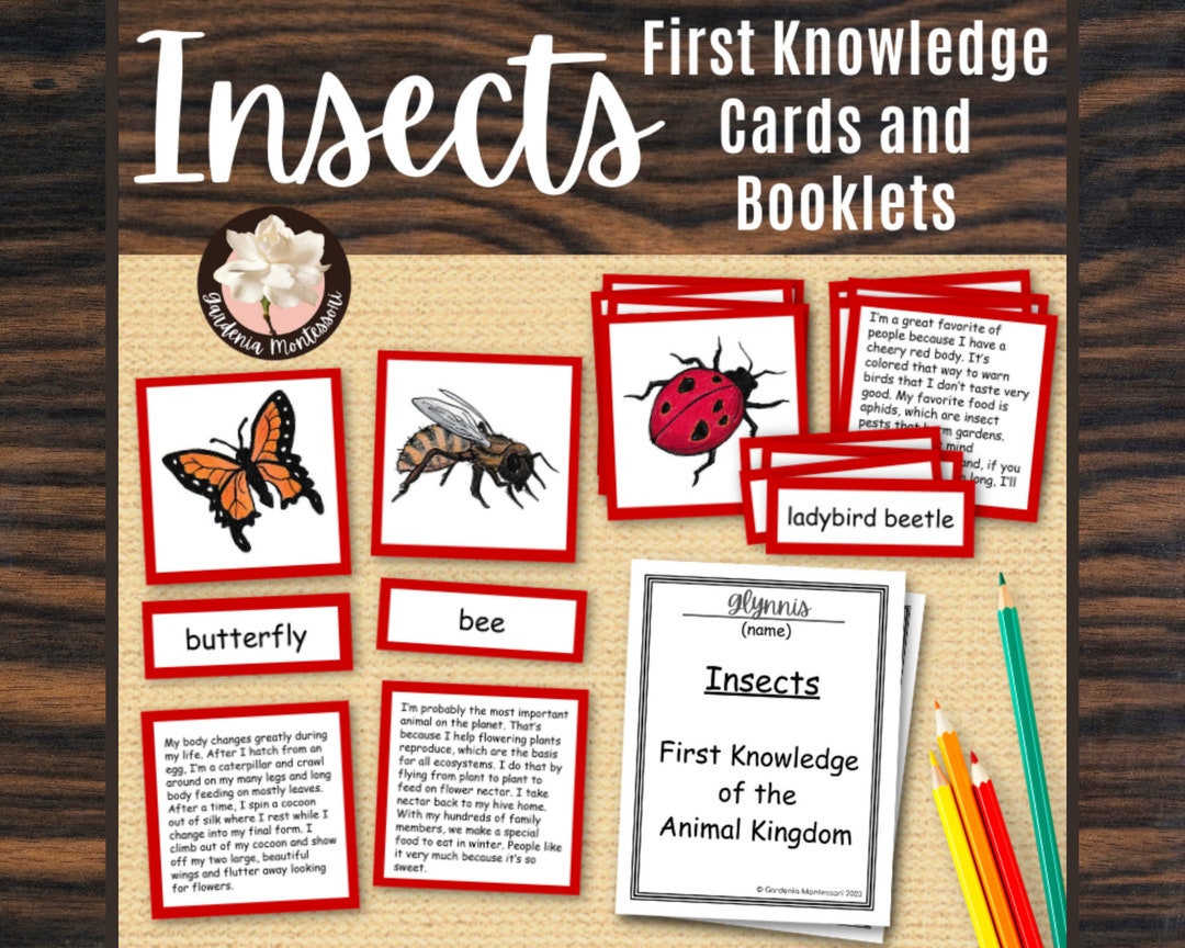 Montessori Insects 3 Part Cards Bug Printables Booklet - Montessori ...