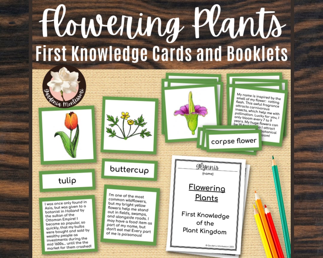 Flowering Plants Montessori Materials - Montessori Science Cards Plant ...