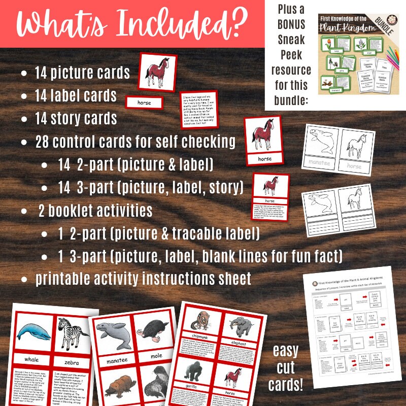 Montessori Mammal Printables - Animal Kingdom Montessori Materials 3 ...