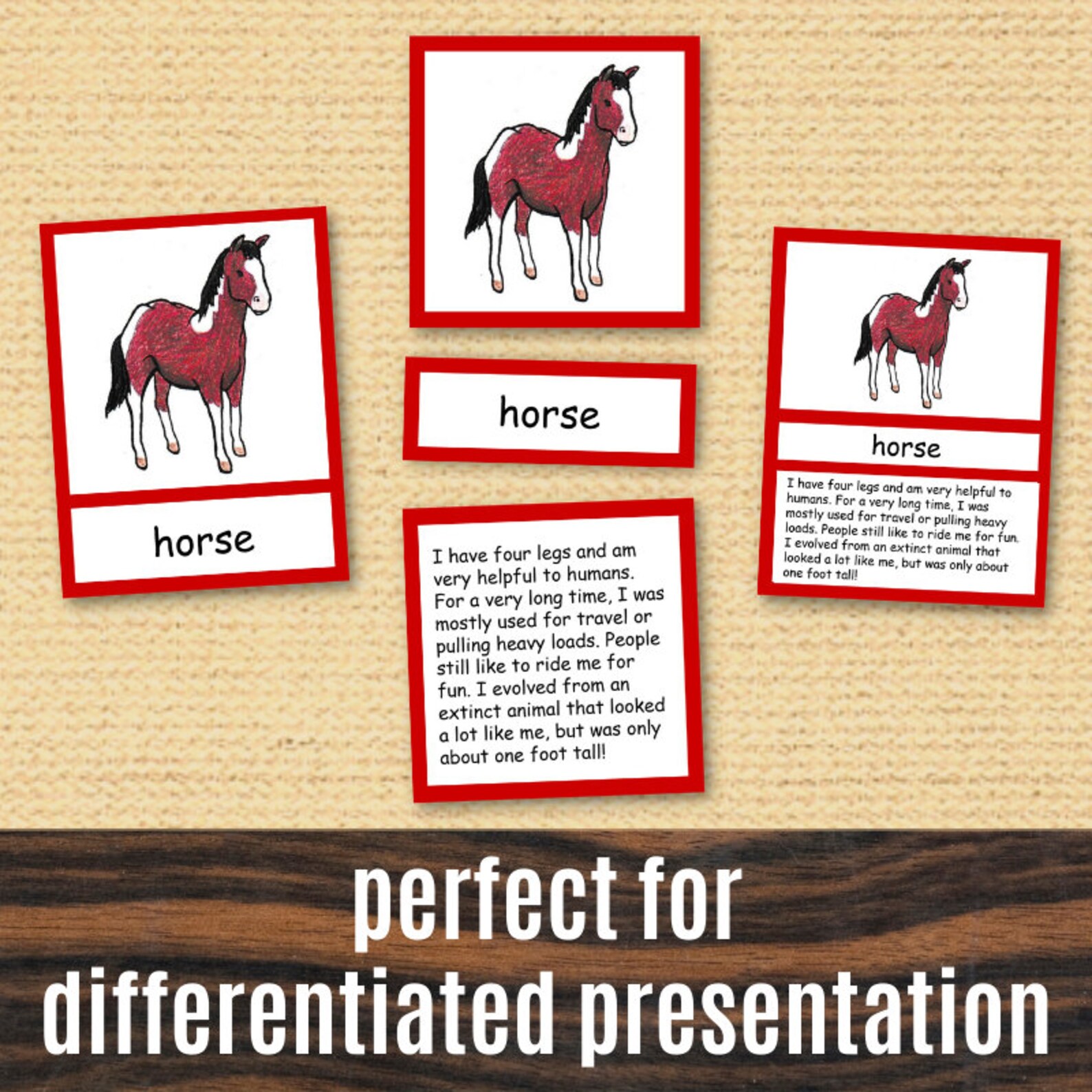 Montessori Mammal Printables - Animal Kingdom Montessori Materials 3 ...
