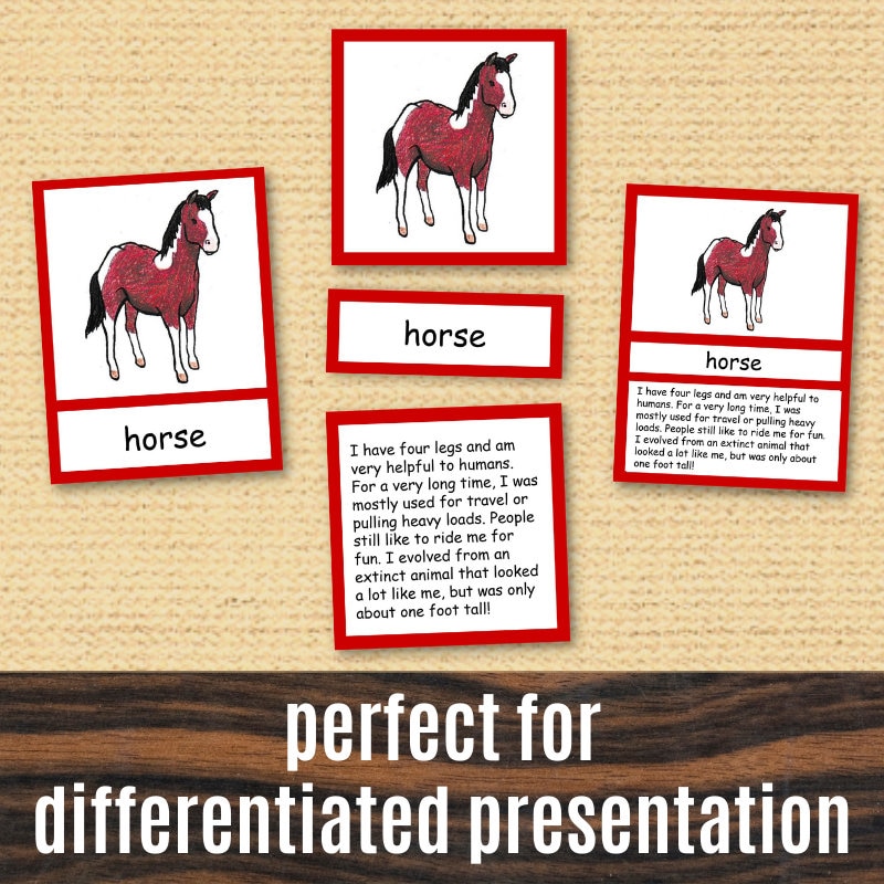 Montessori Mammal Printables - Animal Kingdom Montessori Materials 3 ...