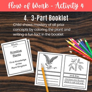 Montessori Plant Kingdom Montessori Materials - Montessori Elementary ...