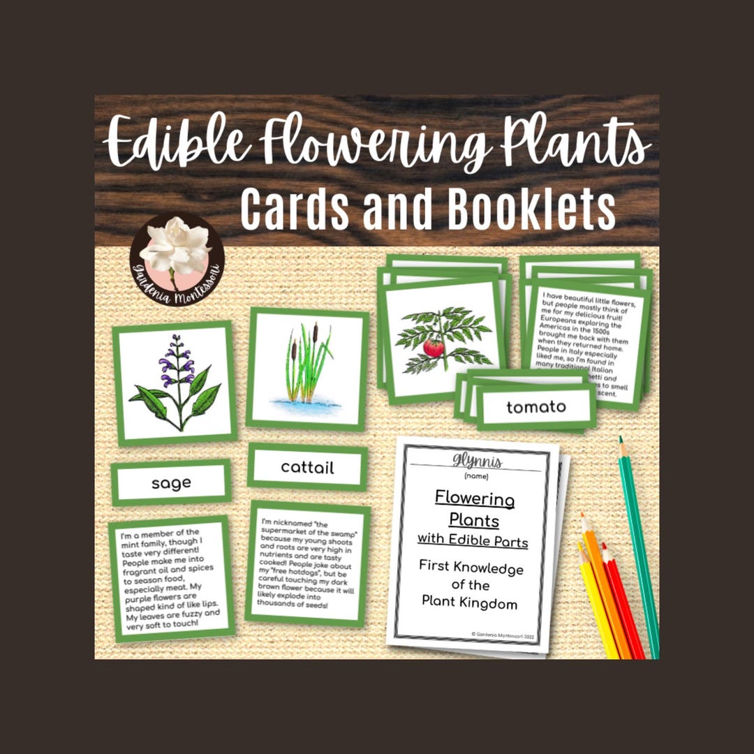 Edible Flowering Plants Science Cards: Montessori Elementary Materials ...