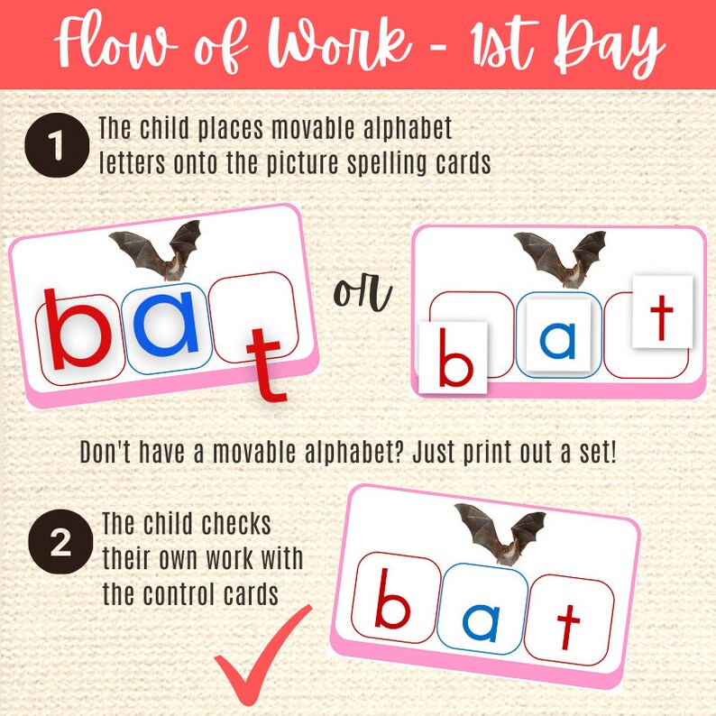 CVC Words Montessori Elementary Moveable Alphabet Printables: Pink ...