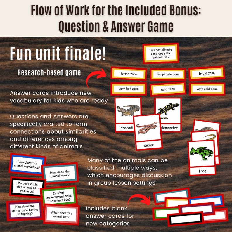 Montessori Animal Kingdom Science Cards Material Montessori Ciencia ...