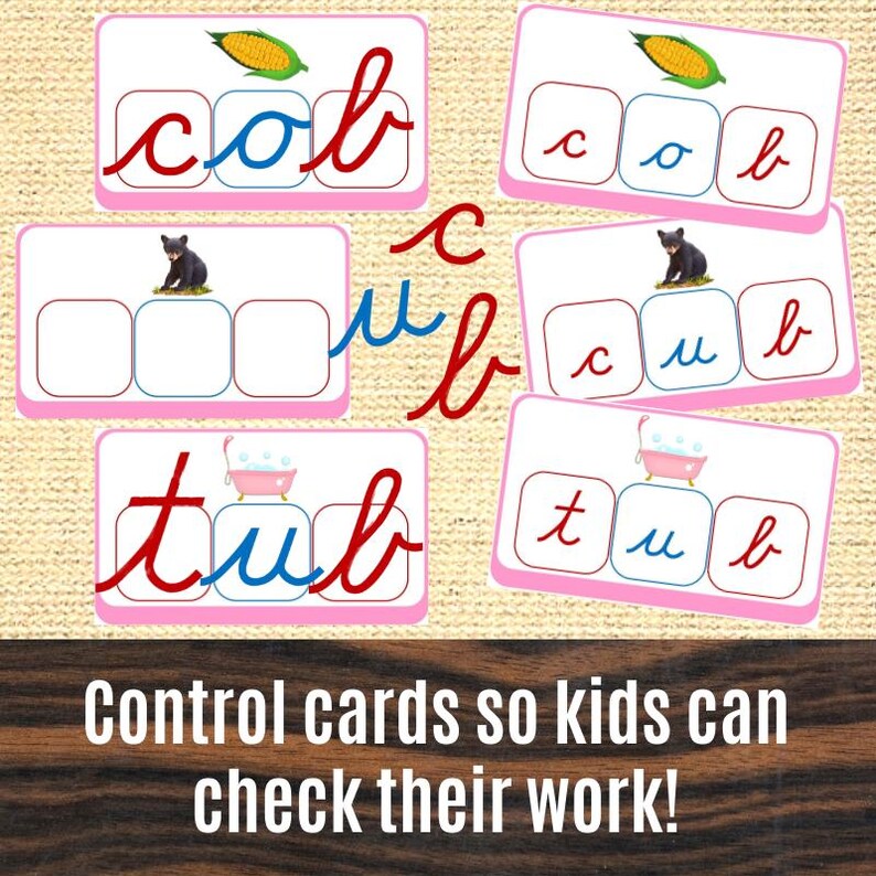 Montessori Cursive CVC Words Pink Series Cards: Elementary Moveable ...