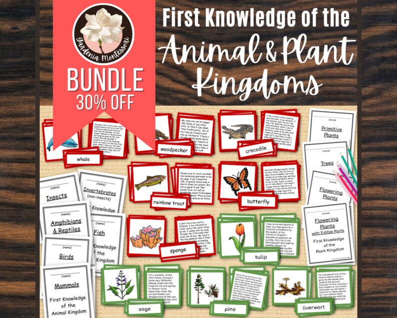 Plant and Animal Kingdom Science Cards: Montessori Elementary Biology ...