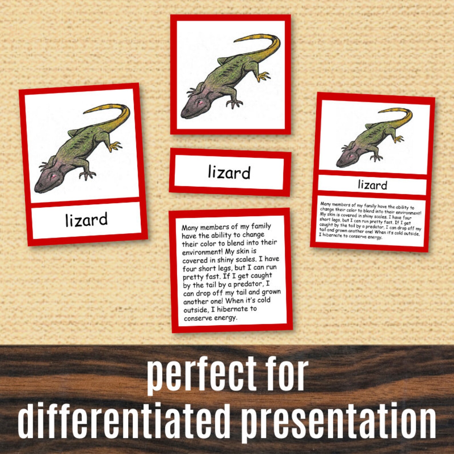 Montessori Reptiles and Amphibians 3-part Cards: Educational Science ...