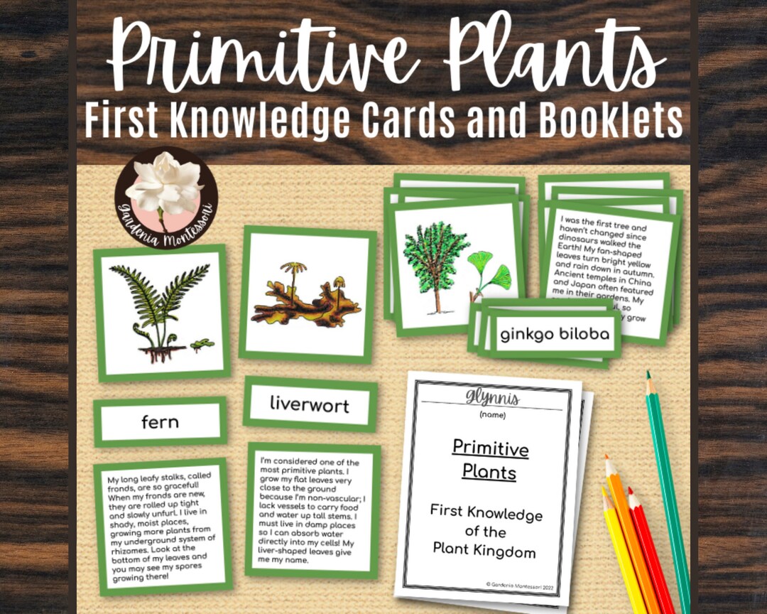 Early Plants Montessori Botany Printables Montessori Science Cards ...