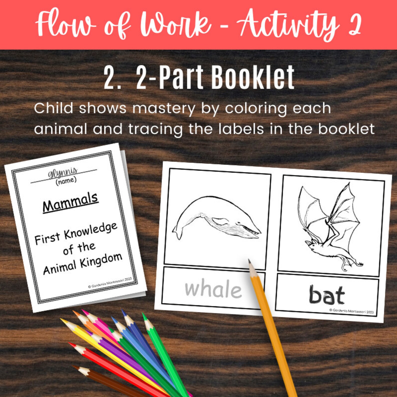 Montessori Mammal Printables Animal Kingdom Montessori Materials 3 Part ...