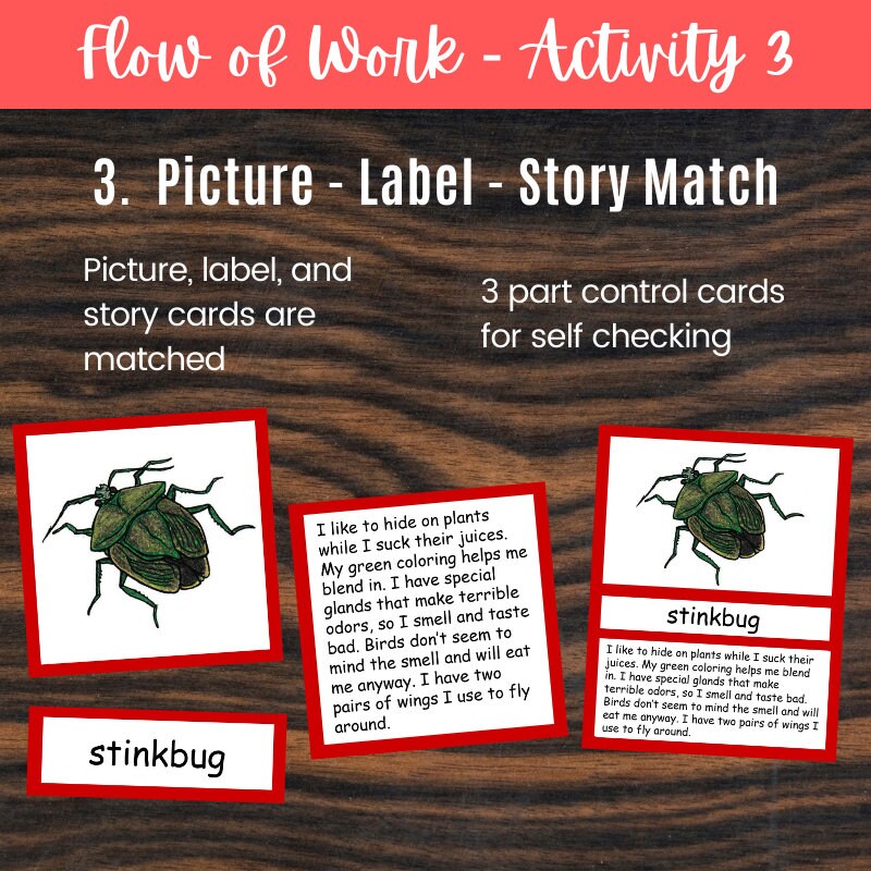 Montessori Insects 3 Part Cards Bug Printables Booklet - Montessori ...