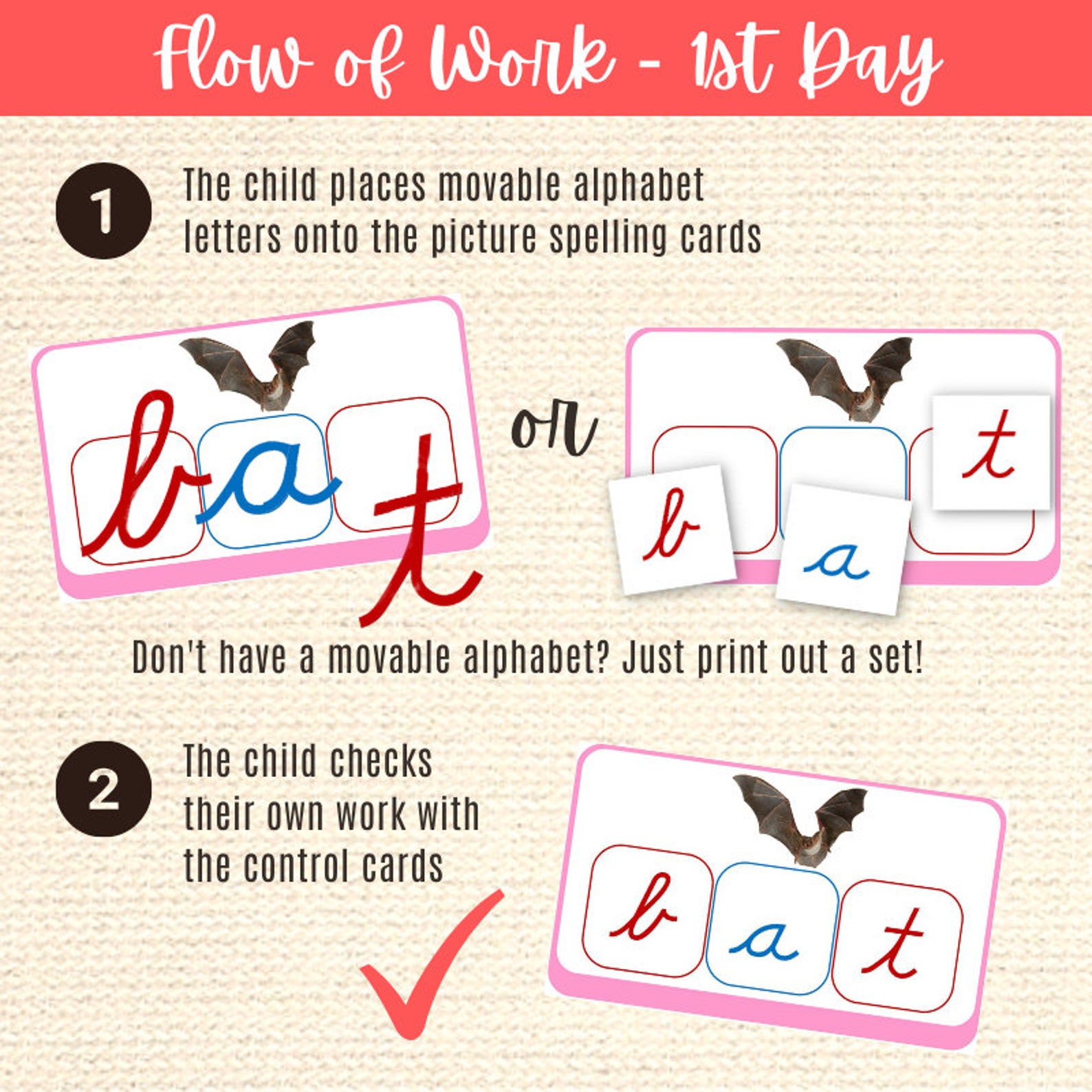 Montessori Cursive CVC Words Pink Series Cards: Elementary Moveable ...