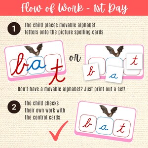 Montessori Cursive CVC Words Pink Series Cards: Elementary Moveable ...