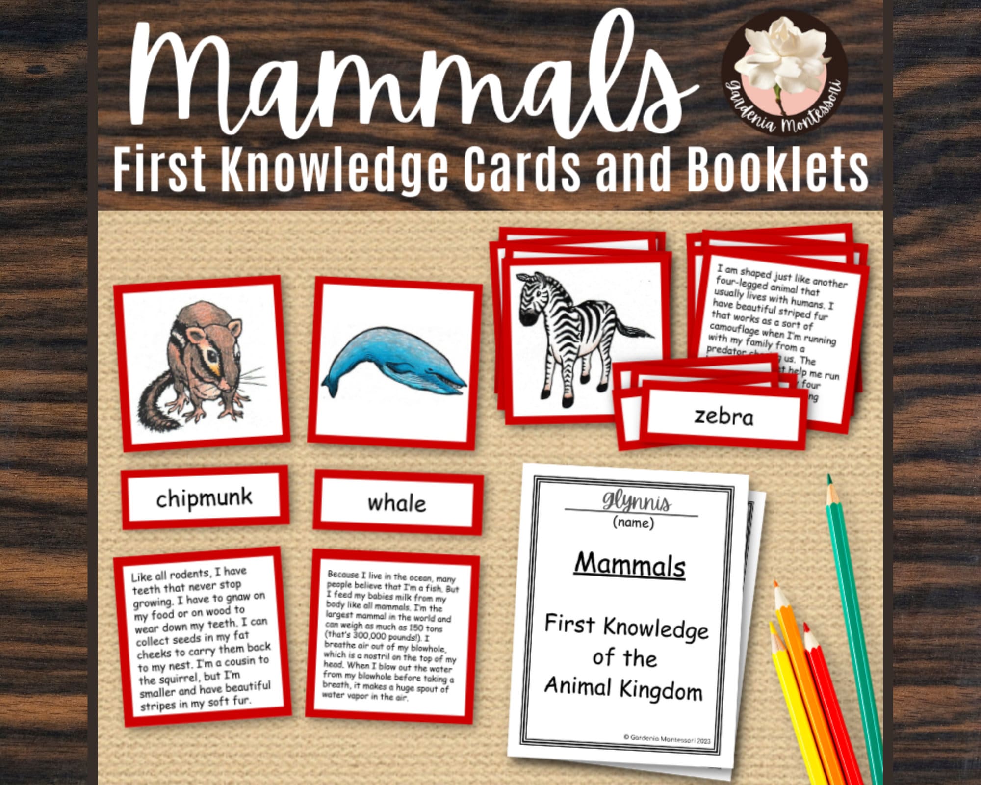 Montessori Mammal Printables - Animal Kingdom Montessori Materials 3 ...