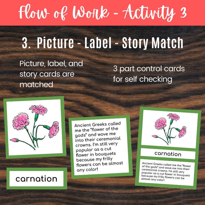 Flowering Plants Montessori Materials Montessori Science Cards Plant ...