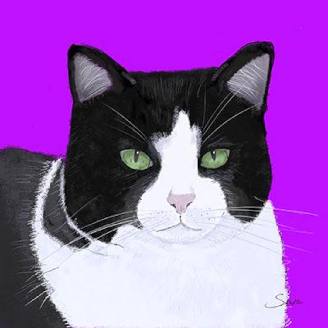 Tuxedo Cat Portrait Digital Download Printable Cat Drawing - Etsy