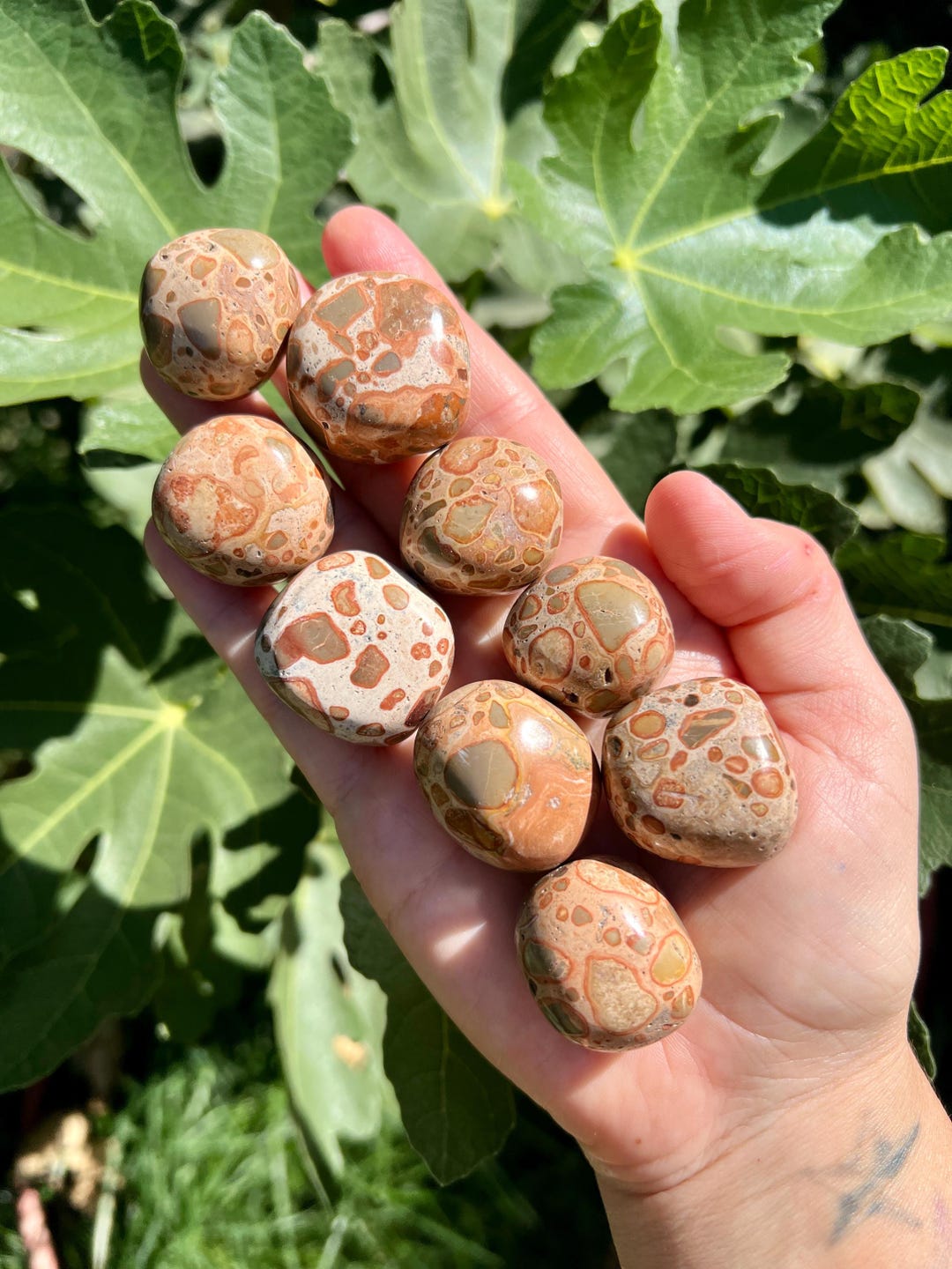 Leopardite Jasper Tumbled Stones | Leopard Jasper Pocket Stones - Etsy