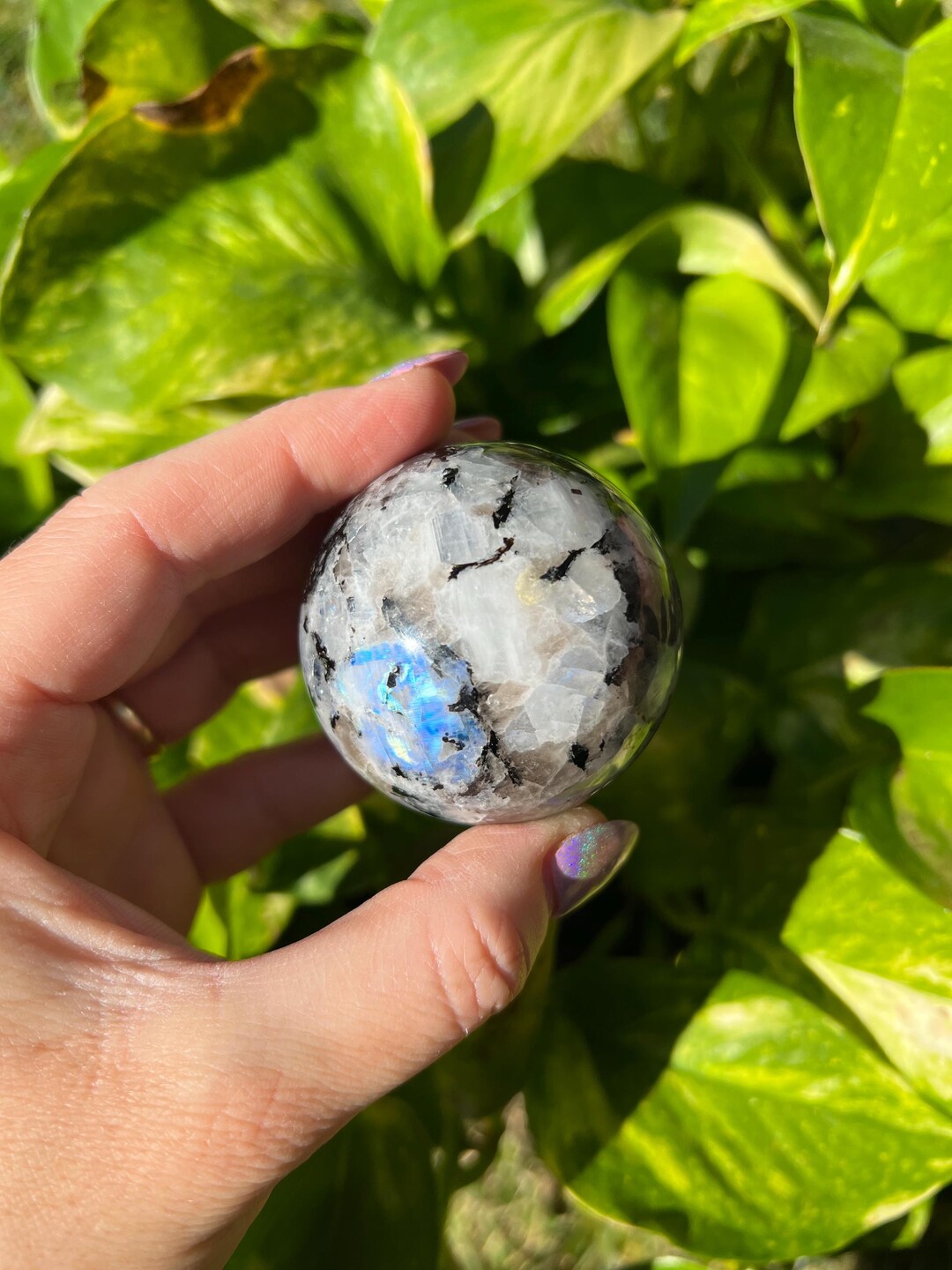 Rainbow Moonstone Sphere | Blue Flash Moonstone - Etsy