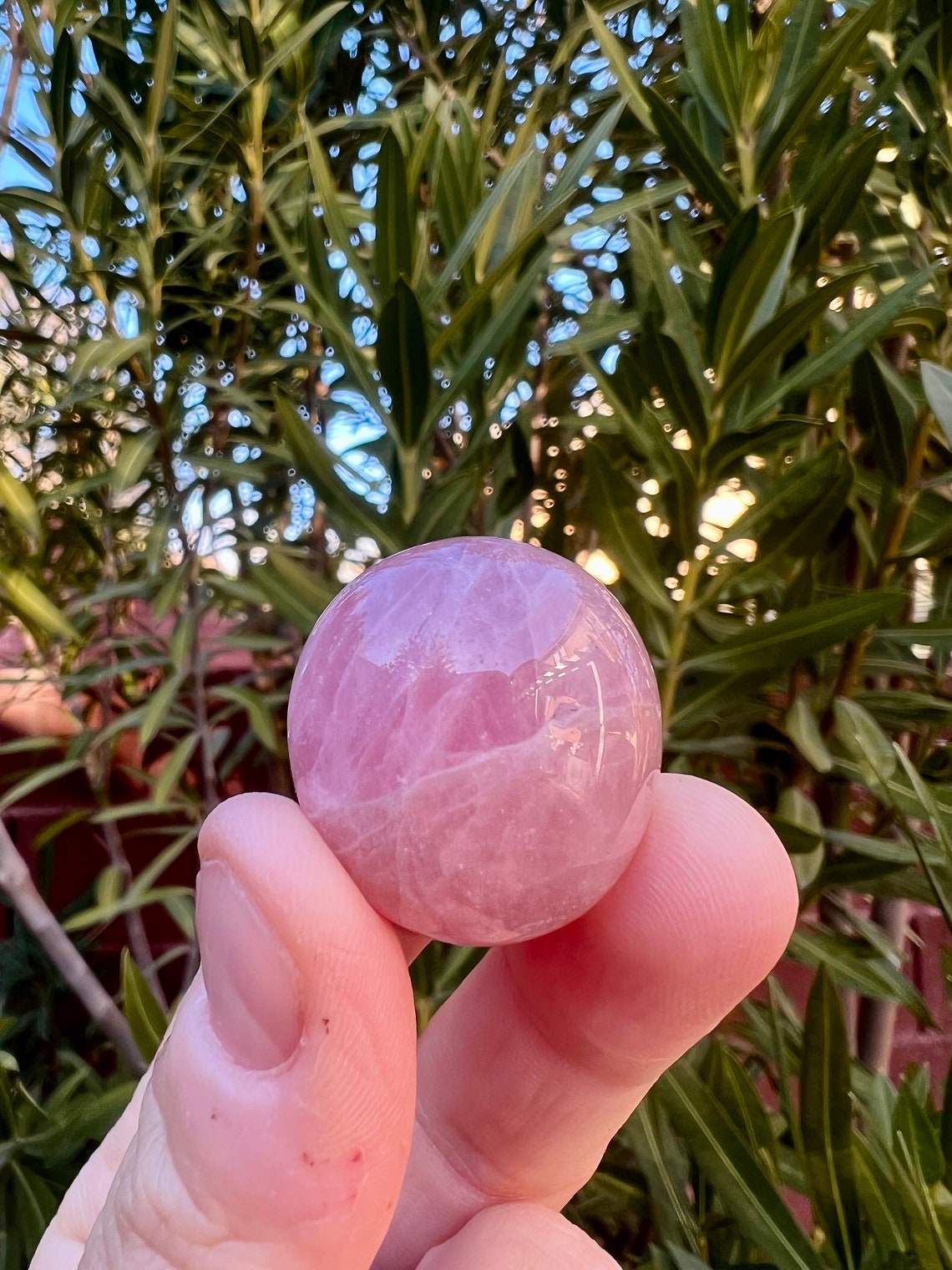 Rose Quartz Tumbled Stones - Polished - Etsy
