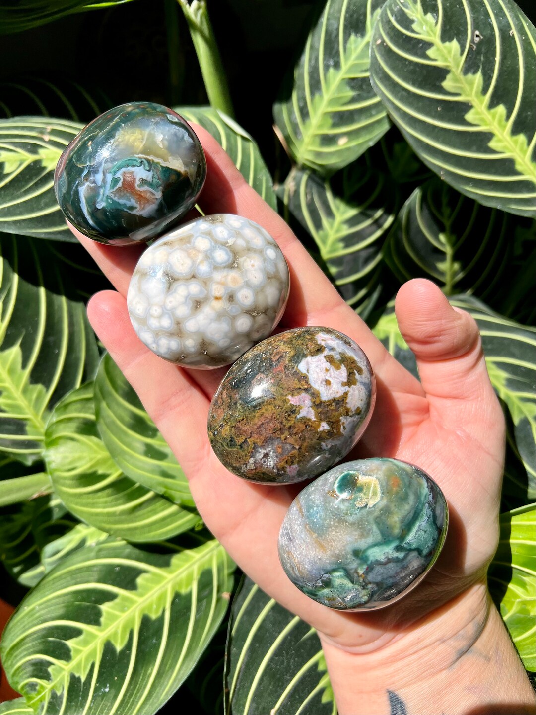 Colorful Ocean Jasper Palm Stones | Ocean Jasper Pocket Stones (you ...