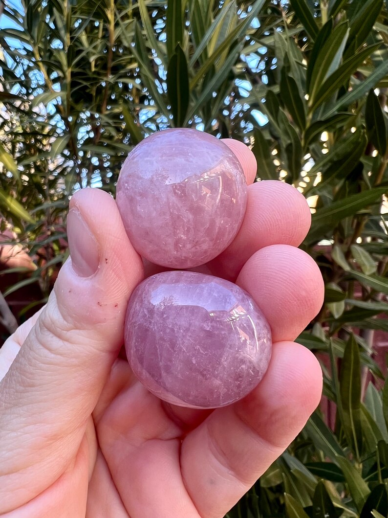 Rose Quartz Tumbled Stones - Polished - Etsy