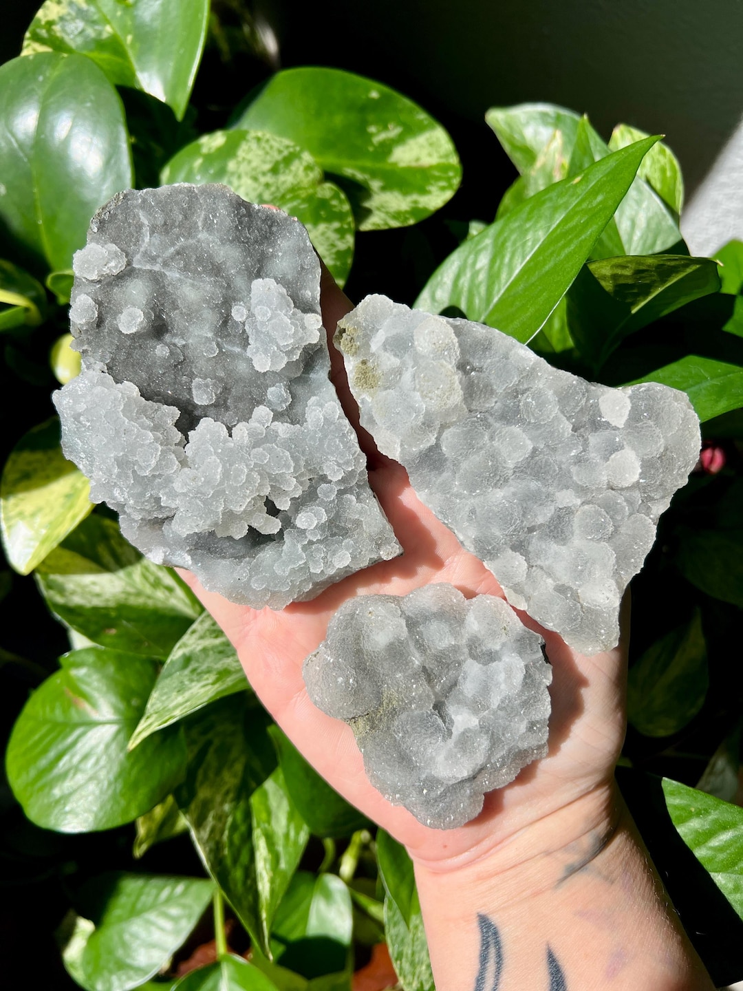 Black Botryoidal Chalcedony Specimens | Raw Druzy Black Chalcedony (you ...
