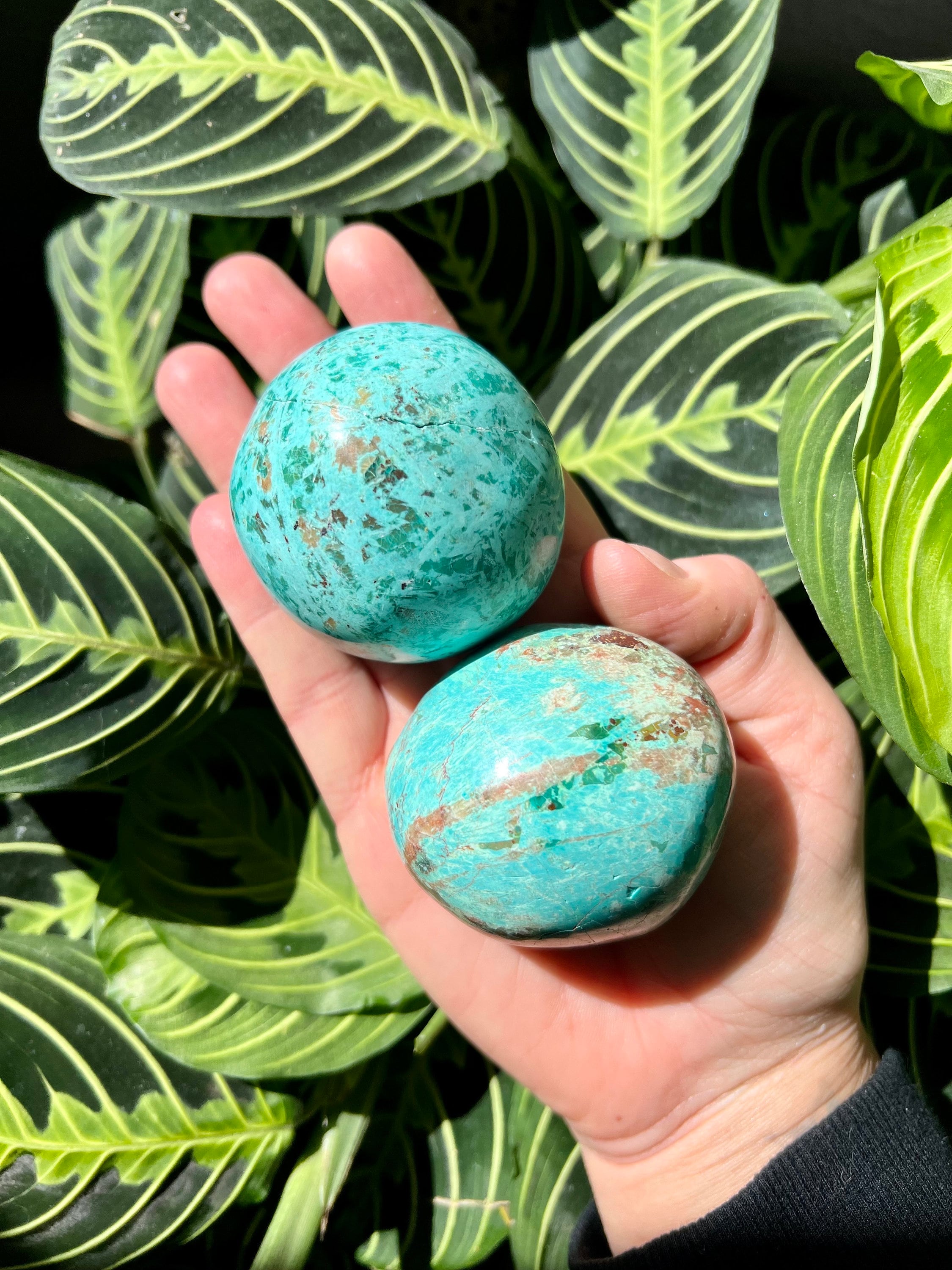 Peruvian Turquoise Palm Stones | Genuine Turquoise Pocket Stones ...