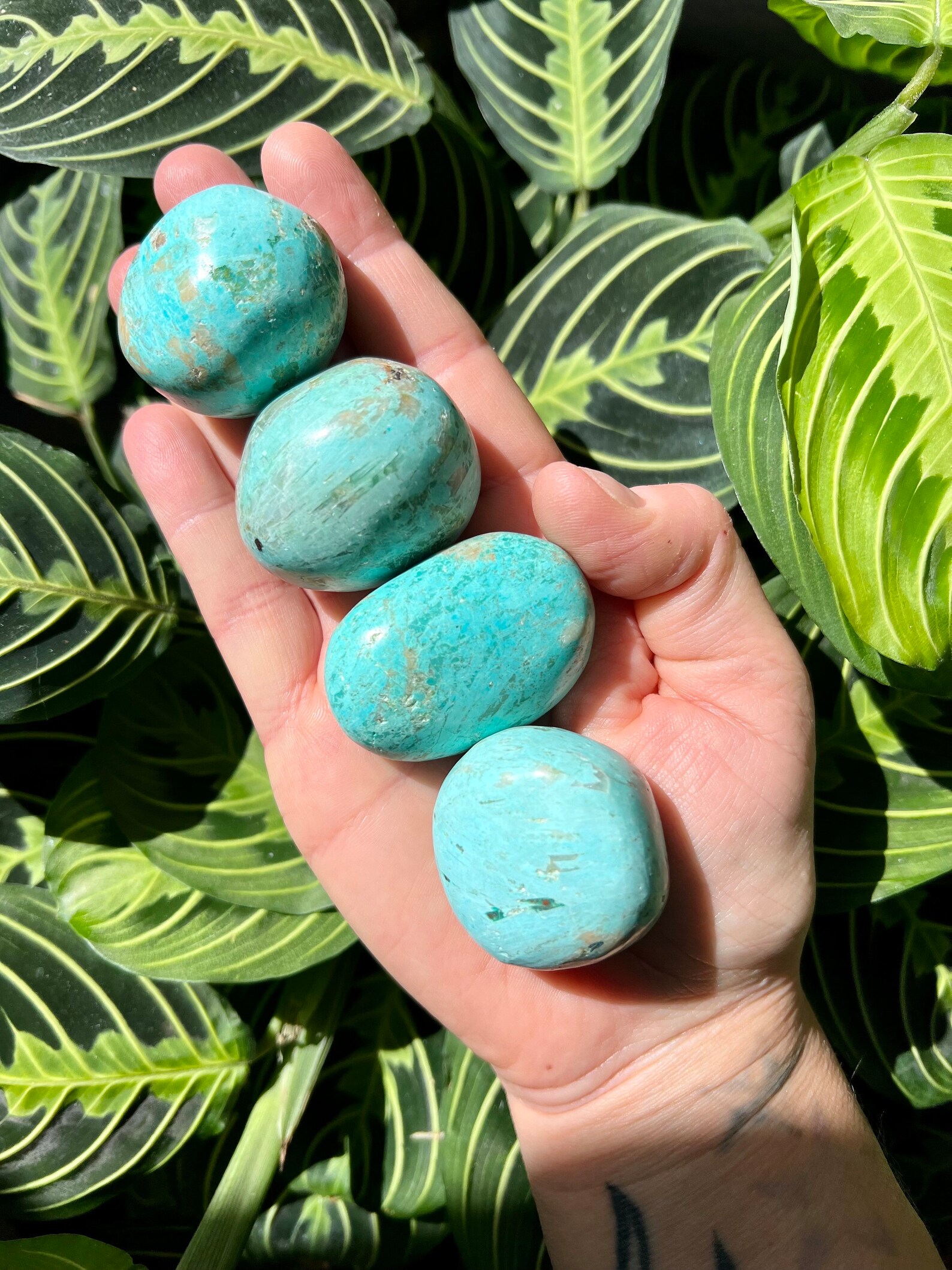 Peruvian Turquoise Palm Stones | Genuine Turquoise Pocket Stones ...