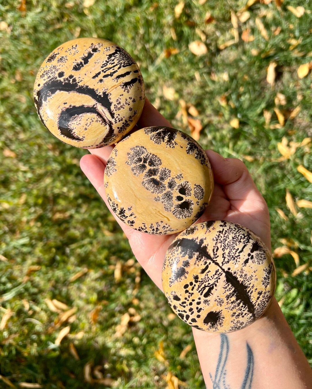 Large Picture Jasper Palm Stones Picture Jasper Cookie Palms - Etsy