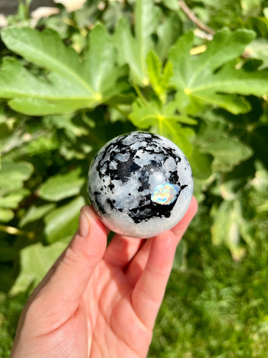 Rainbow Moonstone Sphere | Blue Flash Moonstone | Polished - Etsy