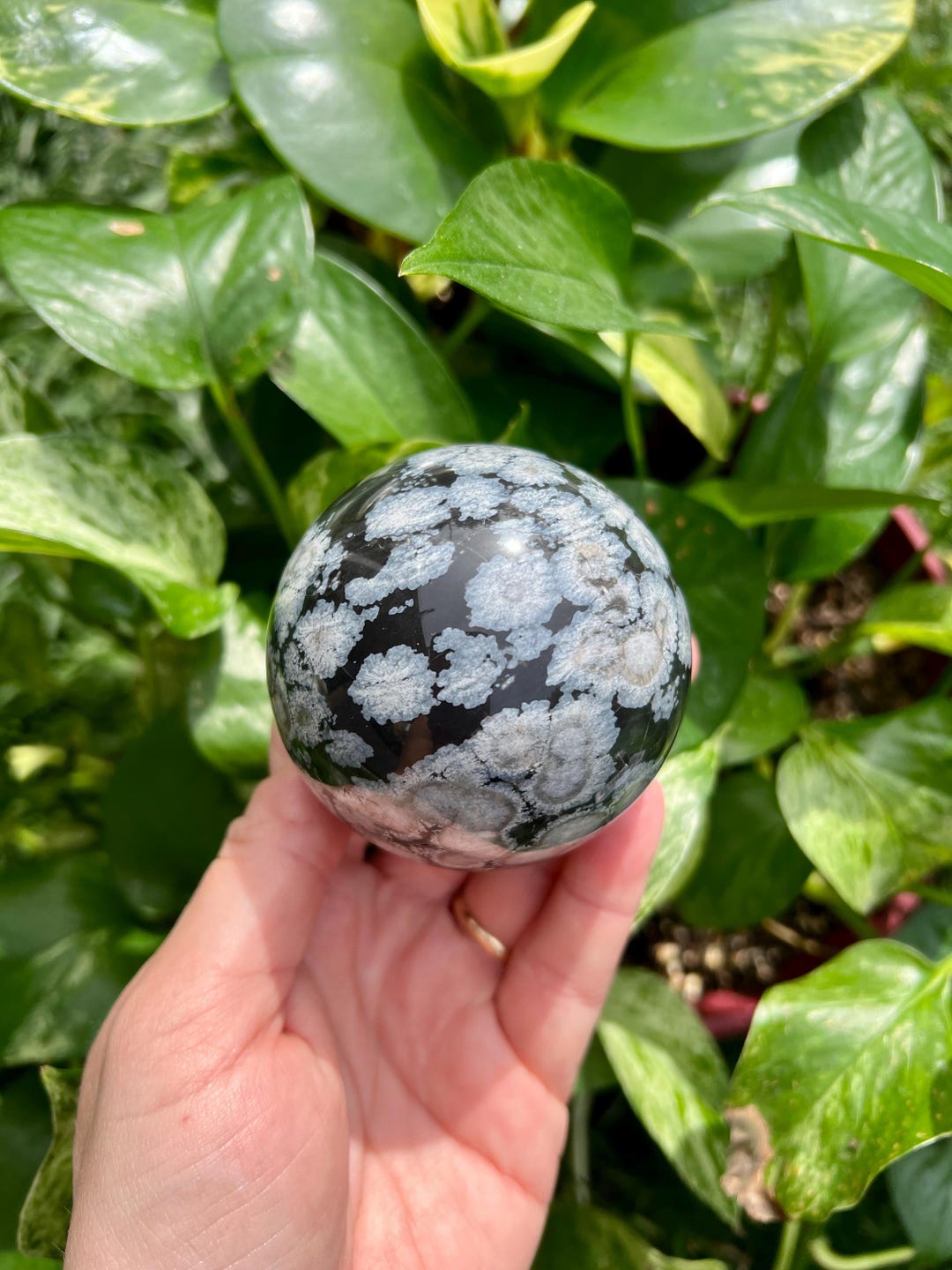 Snowflake Obsidian Sphere - Etsy