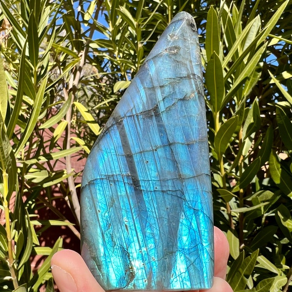 Blue Flash - Etsy